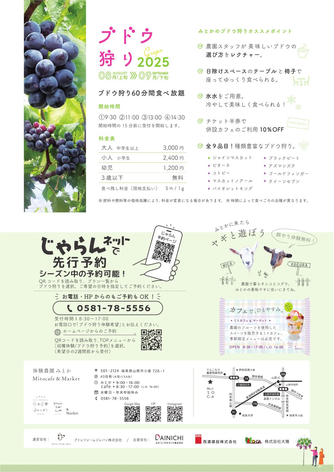 【体験農園みとか】2025ぶどう狩り（60分間食べ放題） | 体験農園みとか/農園併設カフェmitocafe【岐阜・山県】